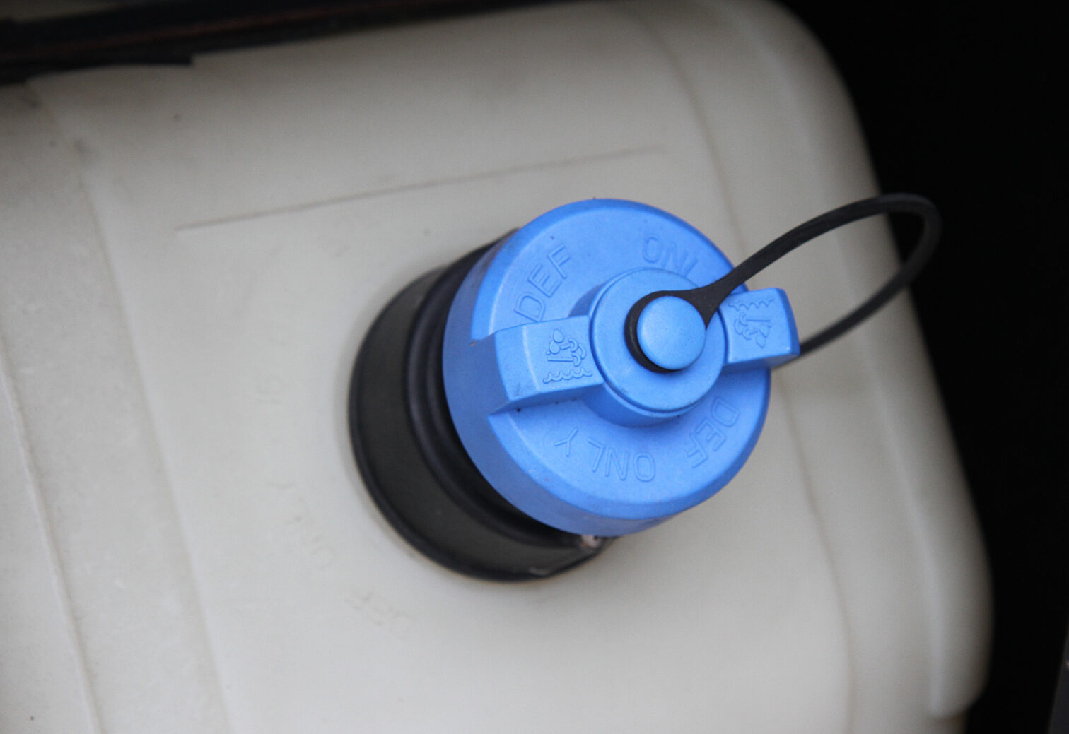 DEF Heads & DEF Problems: What Do I Need to Know? | NIRVC